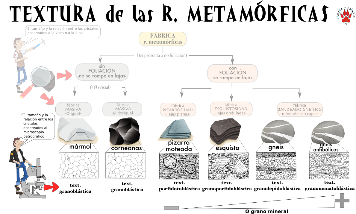 4.2 Clasificación de las rocas metamóficas